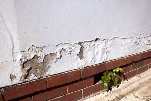 Fast Damp Proof Course Injection and Guarantee Certificate – Rochester ...