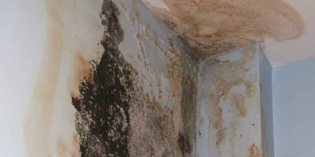 Damp Proofing Margate’s Cellars and Basements – Rochester Building & Damp